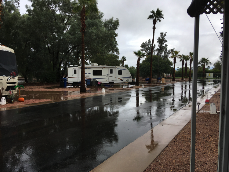 Morning after 3 inch rain in the Phoenix area.